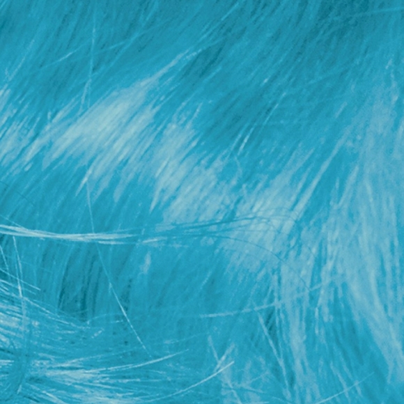 L'Oreal | Hair | Nib Loreal Paris Colorista Semipermanent Hair Color ...